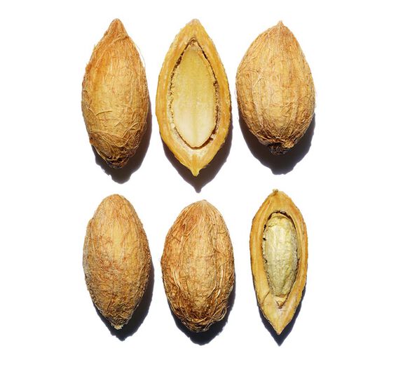 デザートデーツ | CLARINS®